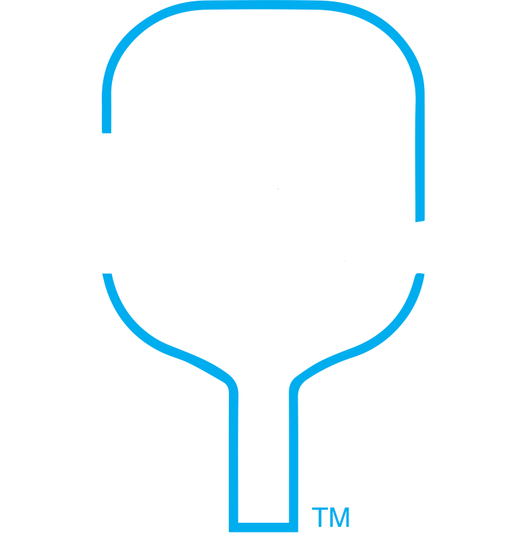 Youth Pickleball Programs & Camps | The Picklr